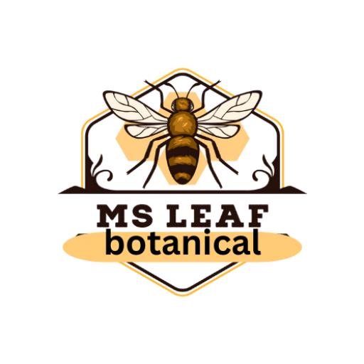 Grid Layout Templates – MS Leaf Botanical